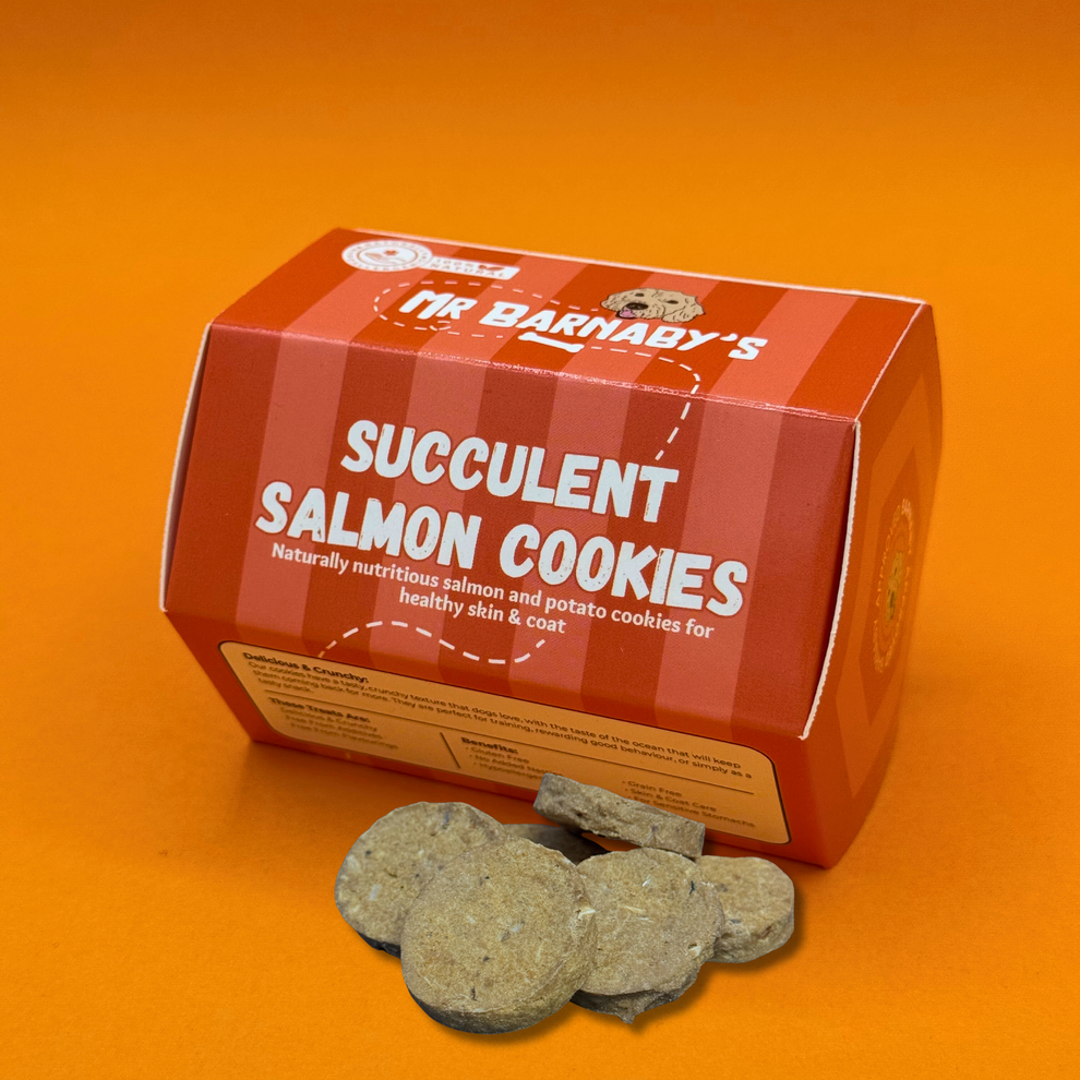 Salmon Dog Treat Cookies | Natural Grain-Free Hypoallergenic Air-Dried ...